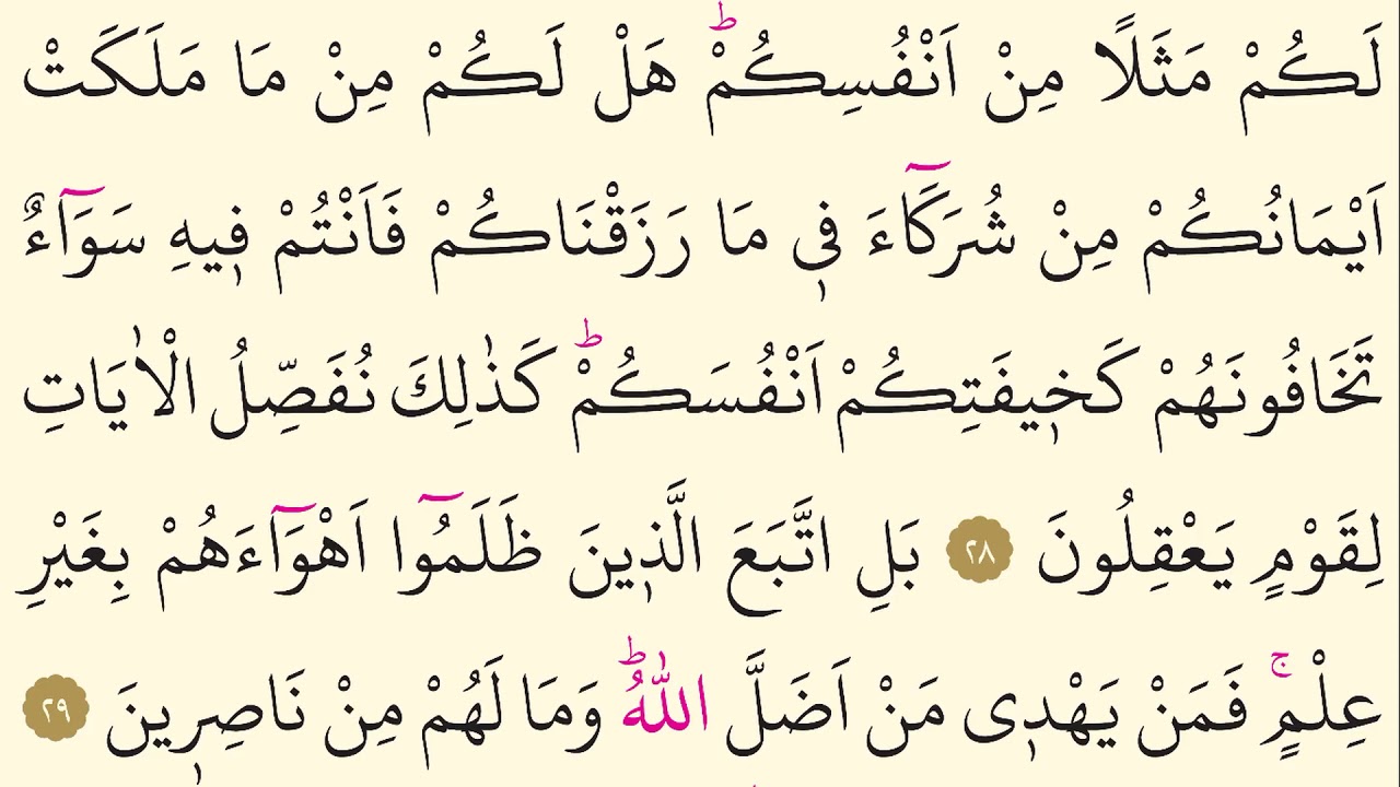 30 Surah Ar Rum Maher Al Muaiqly Arabic translation HD