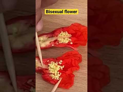 Difference between Unisexual and bisexual flower.Click the link.. #botany #science #teachers