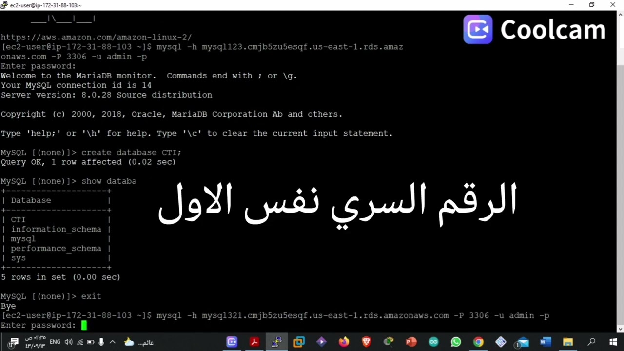 Lab 7: Databases and AWS CTI