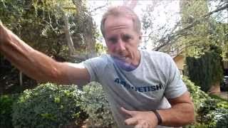 How to Become An Auto Detailer: Jobs, Career, Salary and Skills - Zippia