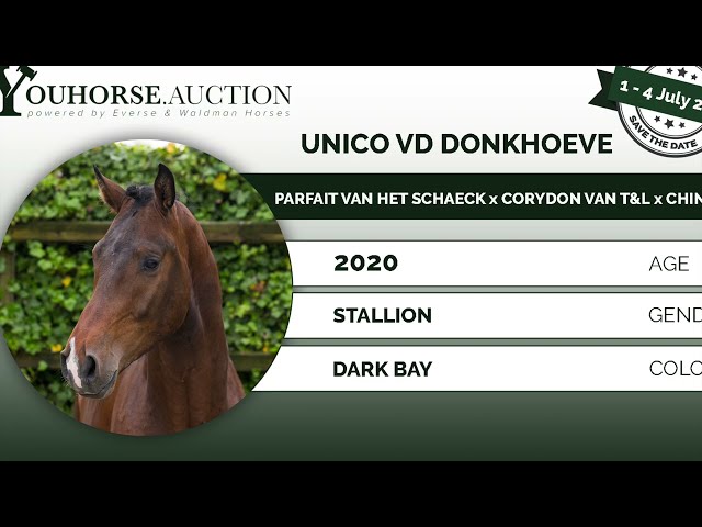 Youhorse.auction | Unico vd Donkhoeve