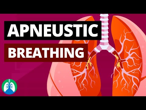 Apneustic Breathing (Medical Definition) Quick Explainer Video