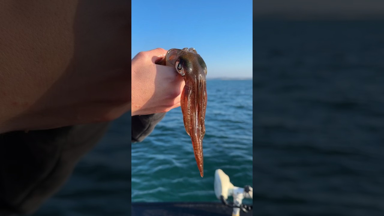 Squid karate chop...