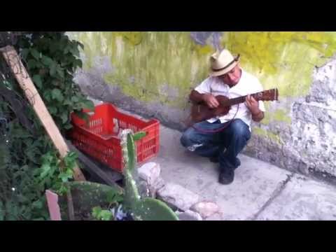 Mexican Jarana Jarocha folk instrument | Reverb