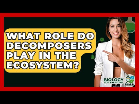 What Role Do Decomposers Play In The Ecosystem? - Biology For Everyone