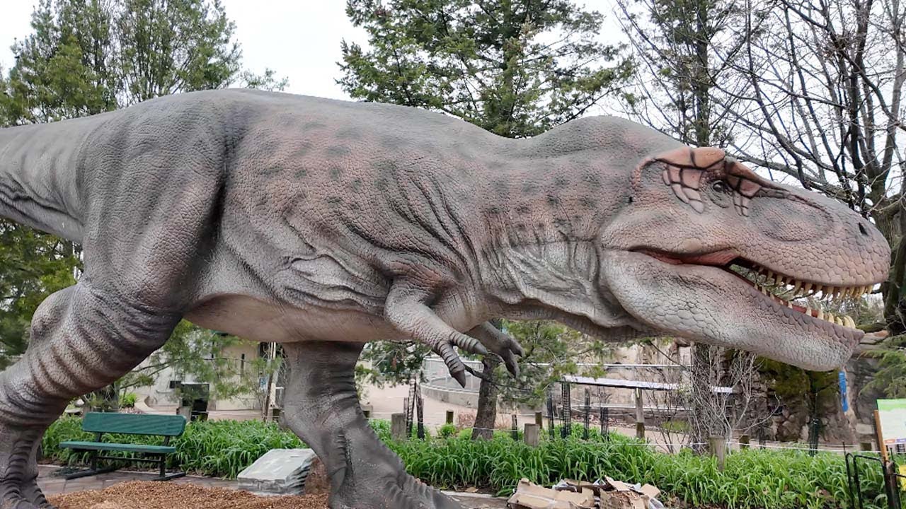 Buffalo Zoo taking visitors back in time with new Destination Dinosaur exhibit