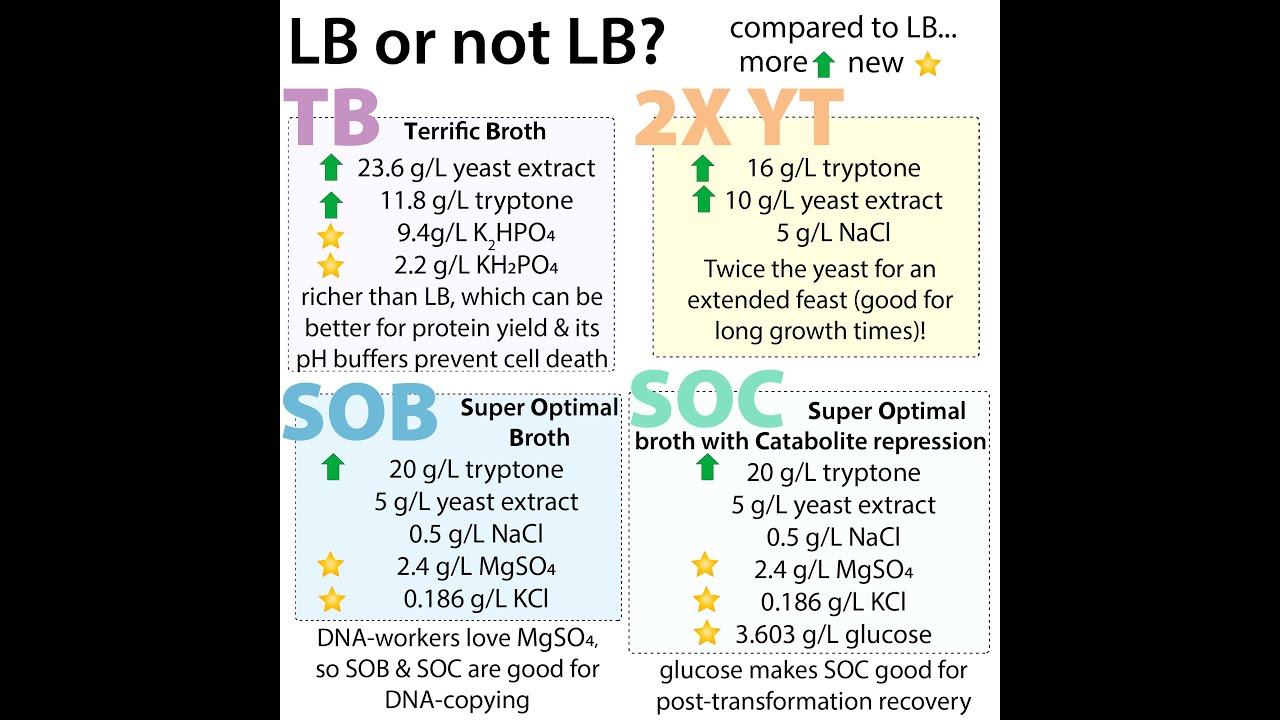 Bacterial growth media - LB, TB, SOB, SOC...