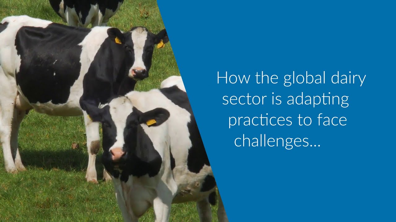 Learn about dairy consumption trends with the IDF World Dairy Situation Report