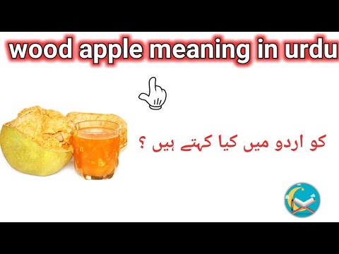 wood apple meaning in urdu۔ wood apple ko urdu mein kya kahte hai۔ wood apple ka urdu matlab kya hai