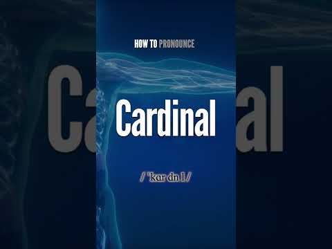Cardinal Pronunciation | How to Pronounce (say) Cardinal CORRECTLY #shorts #shortsfeed #feeds