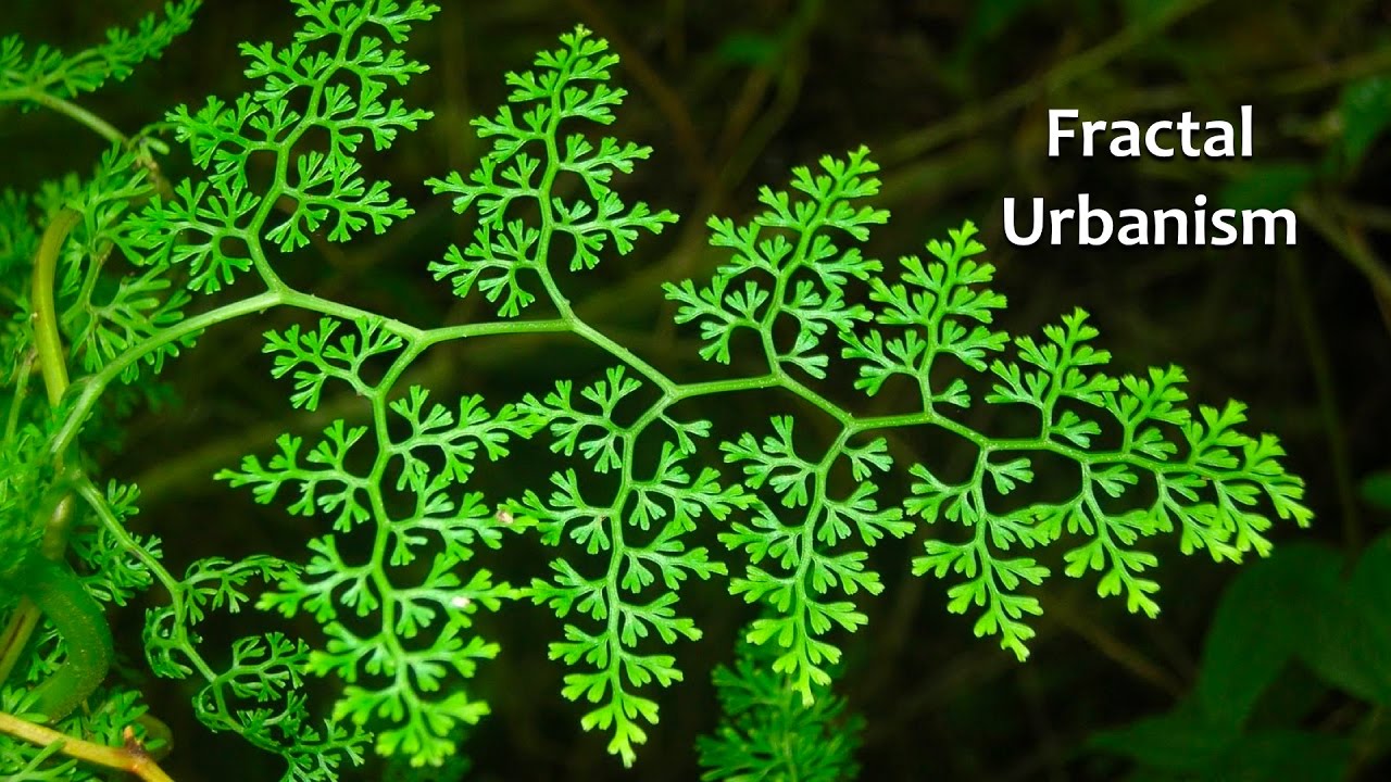 Fractal Urbanism Workshop