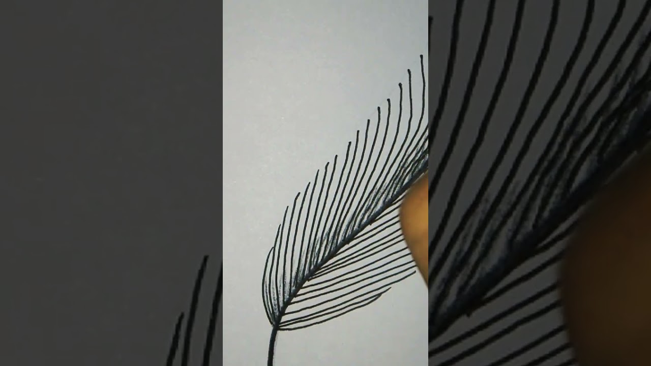 easy goose feather drawing #drawing #drawingfun #geometryart #geometris #shorts