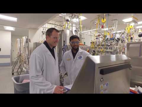 In Great Company: WPI + Pfizer, Inc.