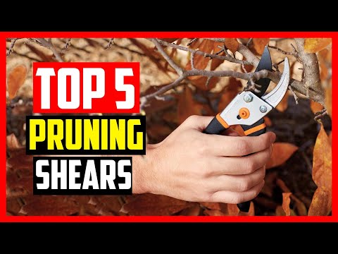 Top 5 Best Pruning Shears in 2024