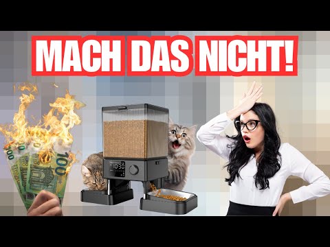Kauf keinen Katzen Futterautomat, bevor du DAS weißt!