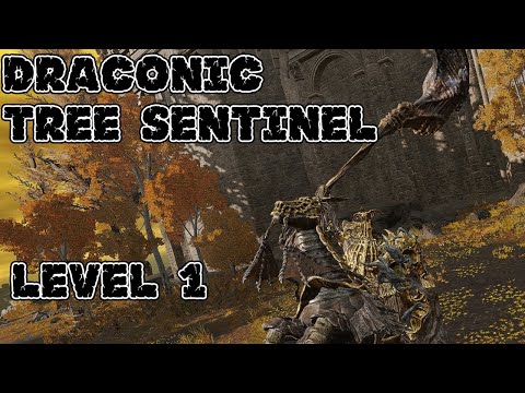 Steam Community :: Video :: Draconic Tree Sentinel | Rune Level 1 ...