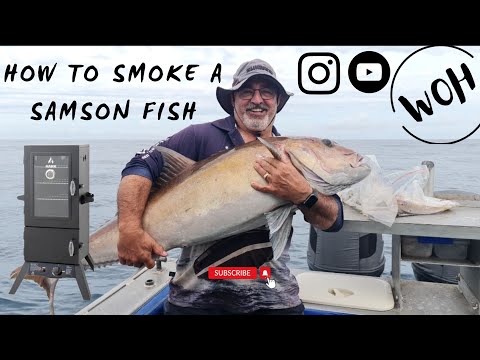 WEST COAST SAMSON FISH - SMOKED SAMBO - South Australia - We're on here adventures