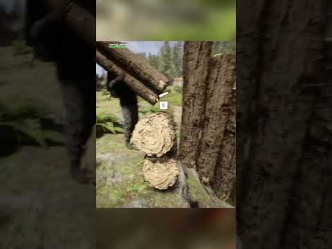 Steam Community :: Video :: Infinite Log Glitch!