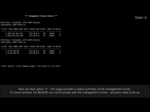 HowTo | CLI Status Menu Options