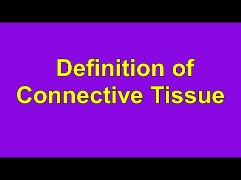 what is the definition of connective tissue
