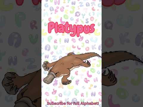 P is for: Animals beginning with P. For kids