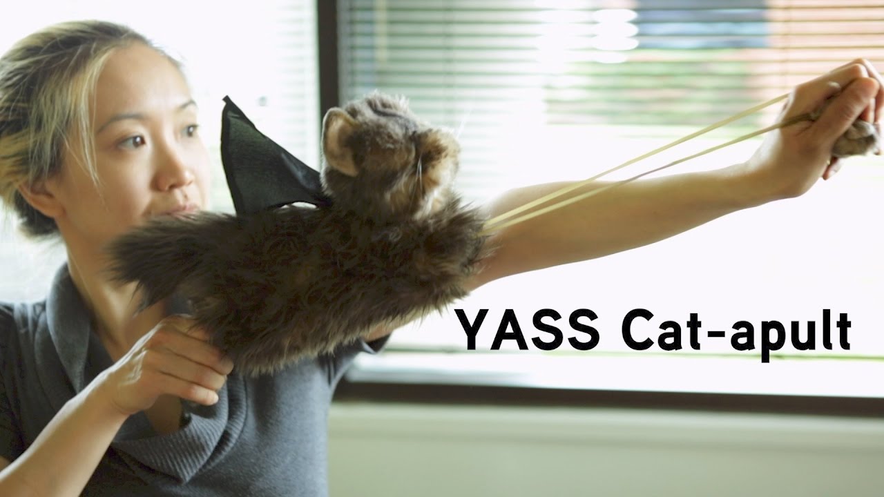 YASS Cat-apult from ThinkGeek