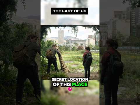 The Last of Us Giraffe Scene Location Revealed: Meet Nabo from Calgary Zoo! π¦