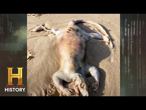 The Proof Is Out There: Alien Corpse Washes Up on Australian Beach (Season 4)
