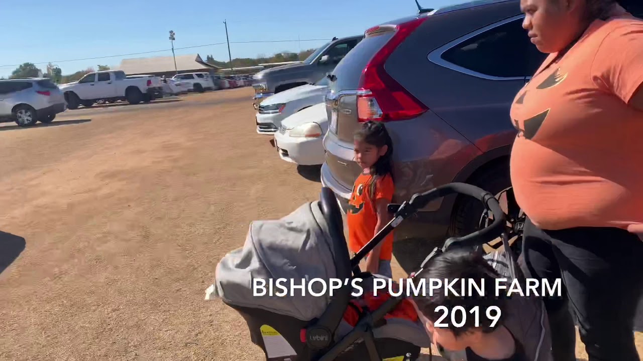 Bishops Pumpkin Farm 2019
