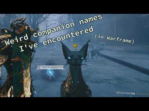 Weird Warframe pet names I've encountered [part 1 +2]