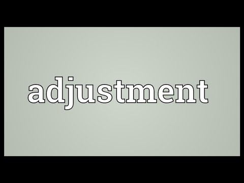 Adjustment Meaning