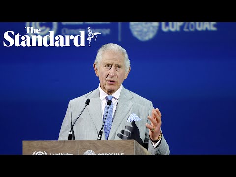 King's rallying cry to the save planet: 'The Earth does not belong to us, we belong to the Earth'
