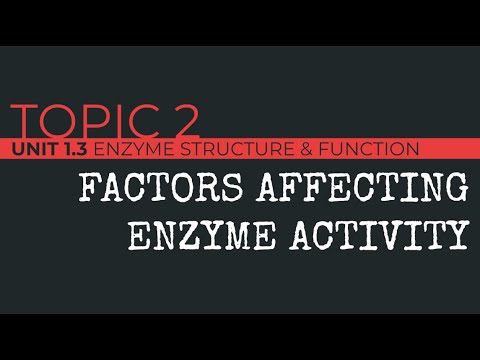 AP Biology: Factors Affecting Enzyme Activity