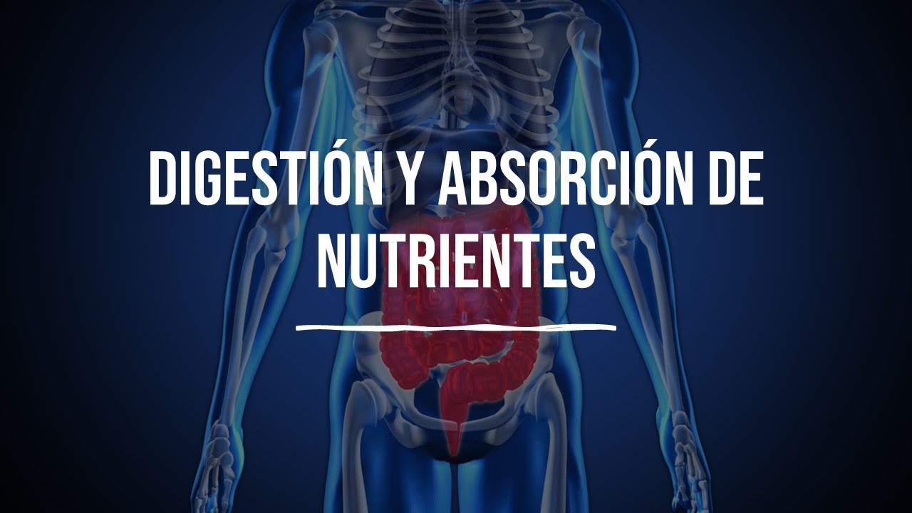 Digestion and absorption of nutrients - Biochemistry - Bachelor of Nutrition