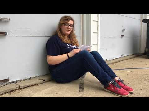 Dear Diary (a short history film)