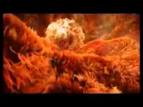 How a baby is formed