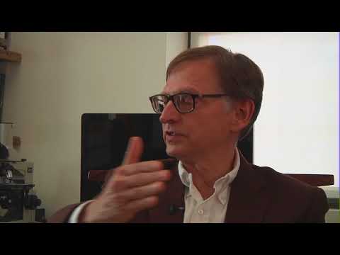 Interview with Dr. W. Ian Lipkin, ME/CFS Alert Episode 95