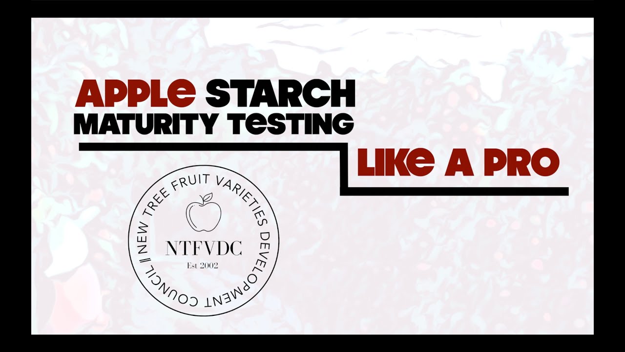 Apple Starch Maturity Testing Like a Pro