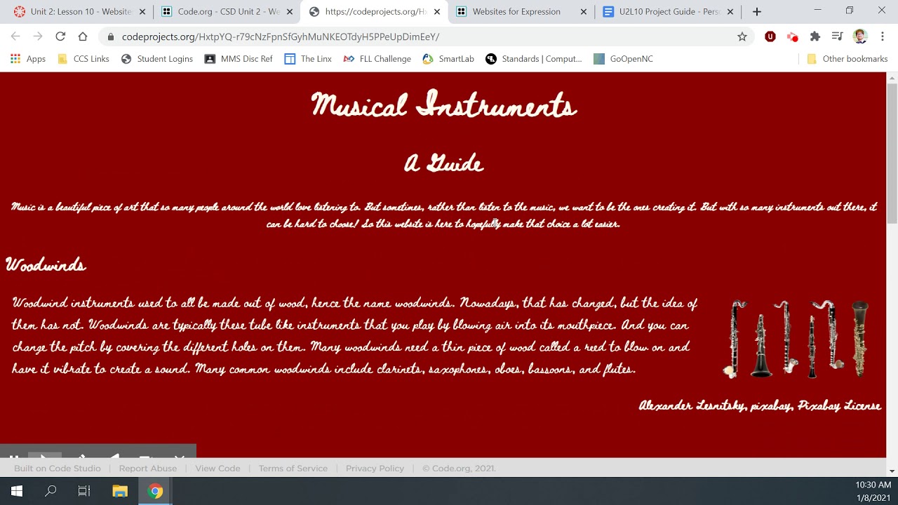 CSD Unit 2: Lesson 10 - Websites for Expression