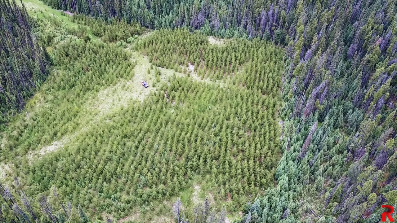 Oil and Gas Optimization - Surface Solutions Incorporated