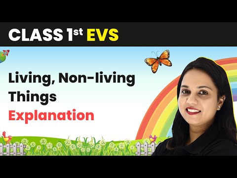 Class 1 EVS | Living, Non-living Things - Explanation