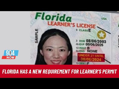 New Florida drivers face stricter education requirements starting July | STOITM | June 23, 2025