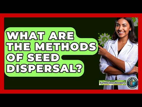 What Are The Methods Of Seed Dispersal? - Earth Science Answers