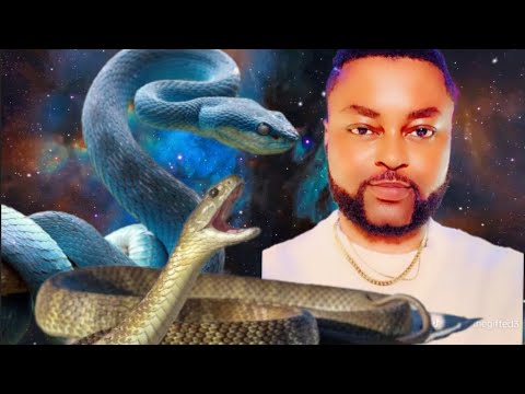 Python, Black snake and Brown Snake in Dream Meaning and Spiritual Solution
