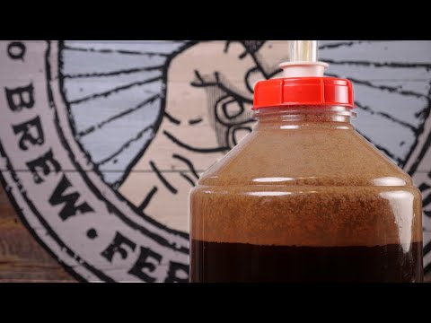 Fermentation Time-lapse