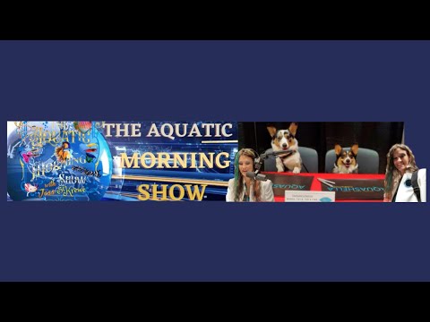 The Aquatic Morning Show Pop Up