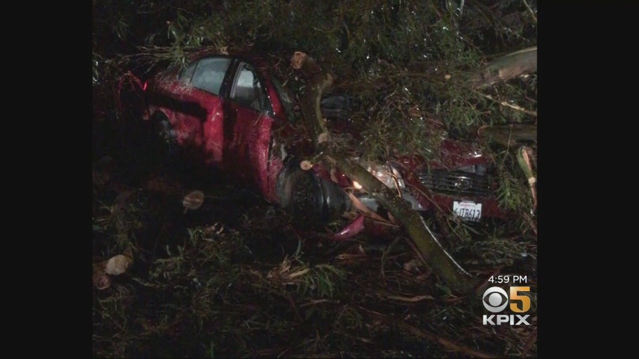 Storm Topples Tree At UC Berkeley, Killing Man In Car