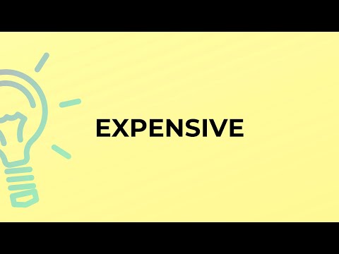 What is the meaning of the word EXPENSIVE?