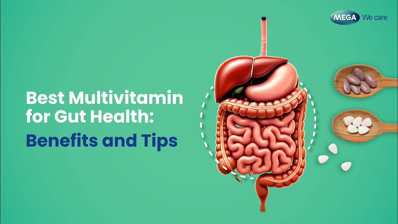 Best Multivitamin for Gut Health | Digestive Wellness Tips