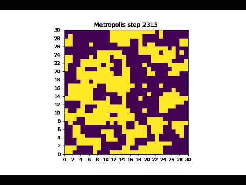 Ising model simulation using Metropolis Monte Carlo
